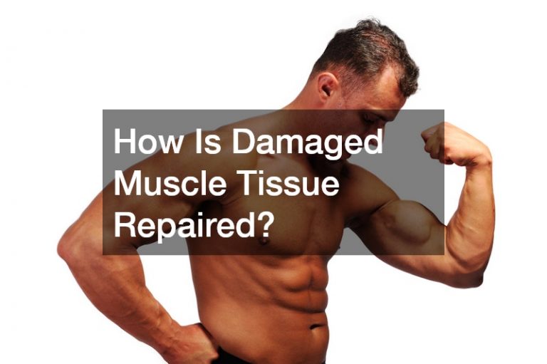 How Is Damaged Muscle Tissue Repaired? - Active Spectrum